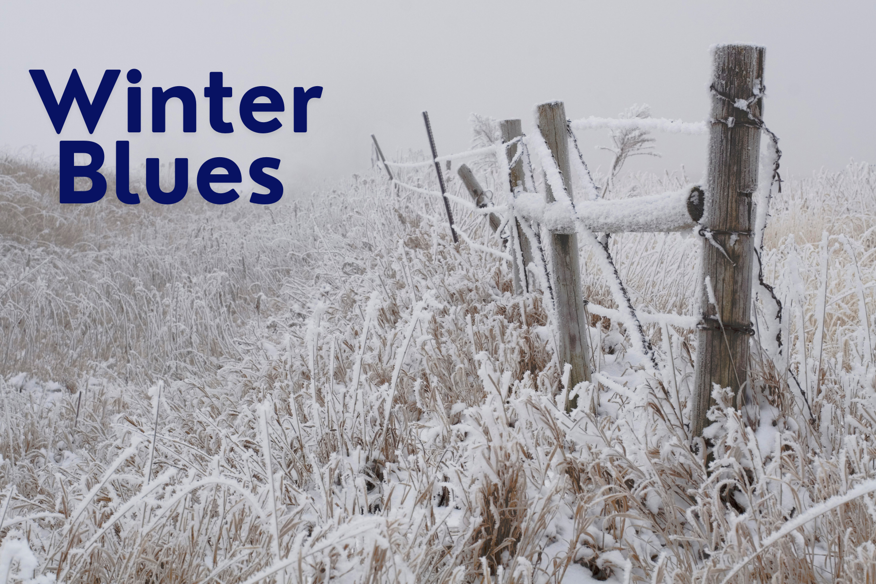 Navigate the Winter Blues and Empower Your Mental Health - Embrace Health